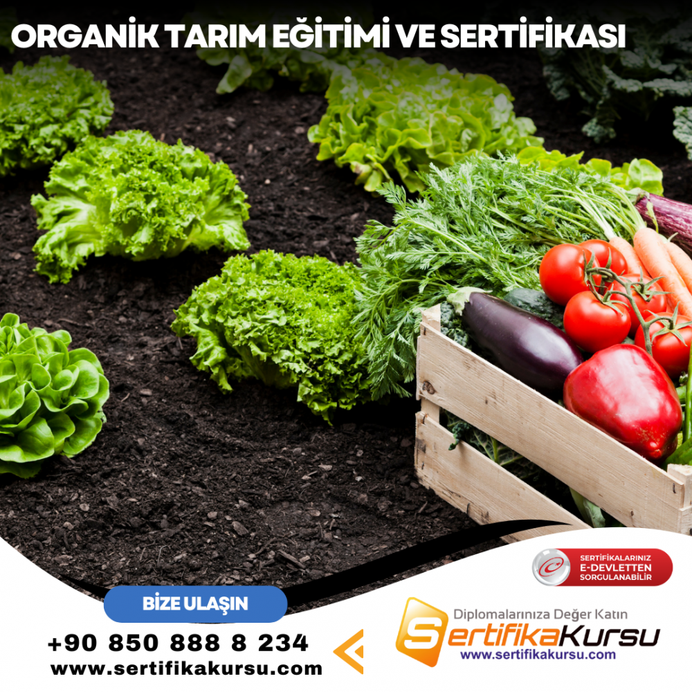 Üniversite Onaylı Sertifika | Organik Tarım Eğitimi ve Sertifikası ...